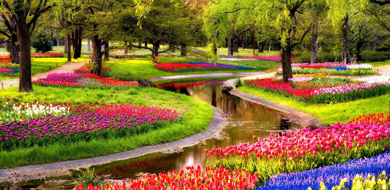 LUKE 14:33 / LUKÁŠ 14:33 :: Arkan Levov Thurzo de Bethlenfalva, Biblik.sk